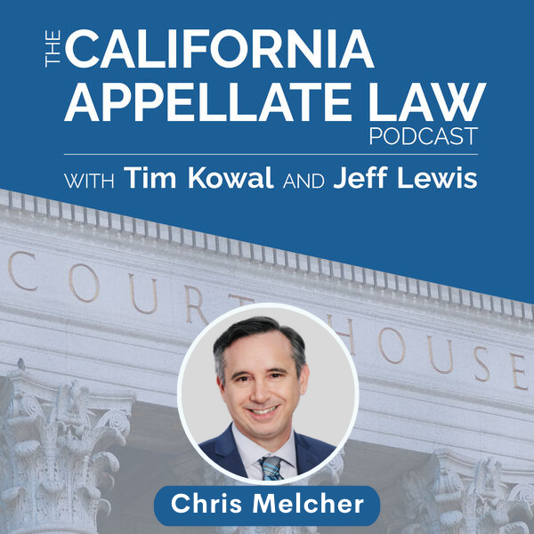 Celebrity Attorney Christopher Melcher on What Gets the Courts ...